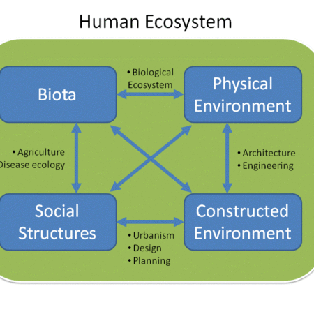 Seeking Nuance in the Human Ecosystem: Built Versus Constructed ...