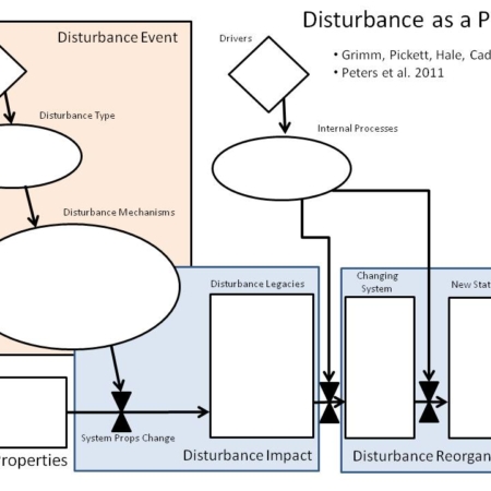 Two Ways to Discover Disturbance – Baltimore Ecosystem Study