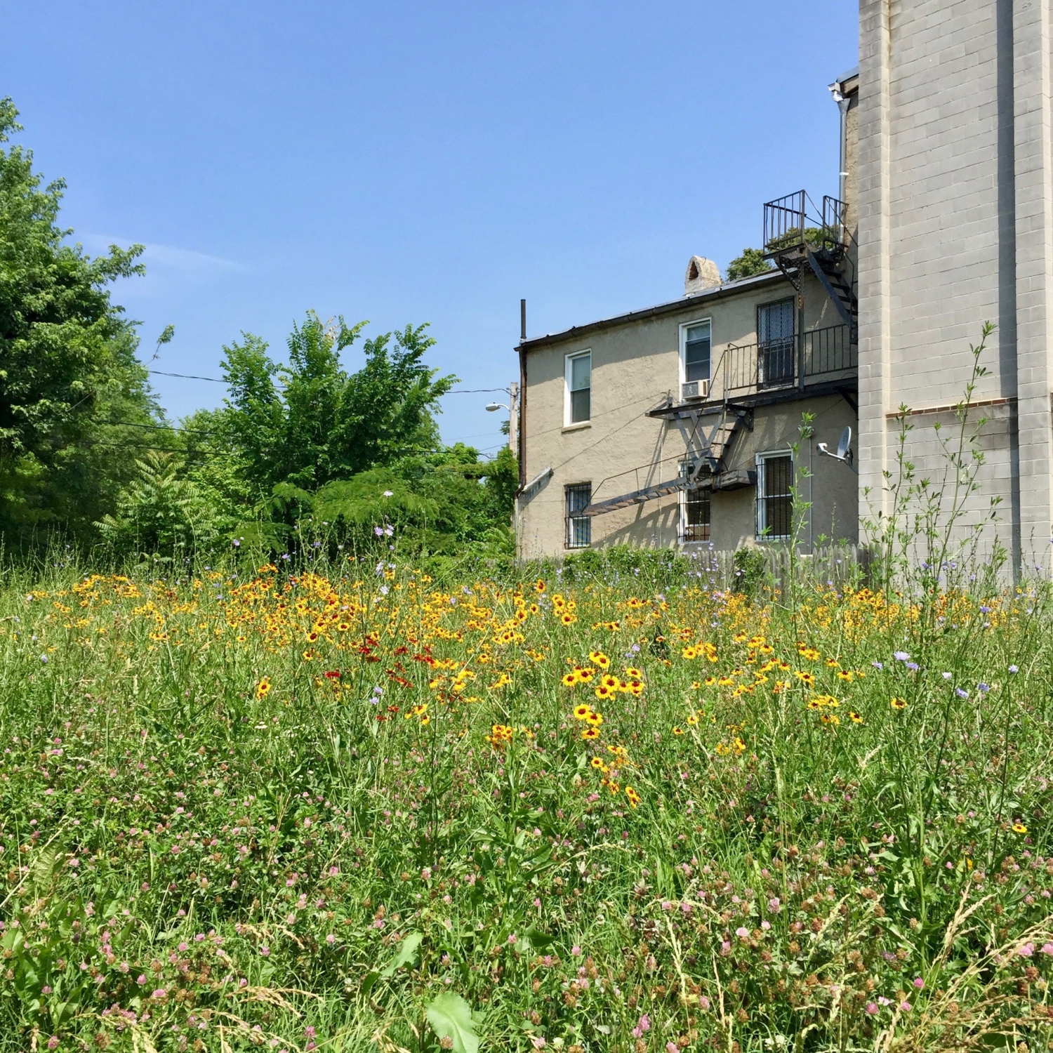 Watershed Studies – Baltimore Ecosystem Study